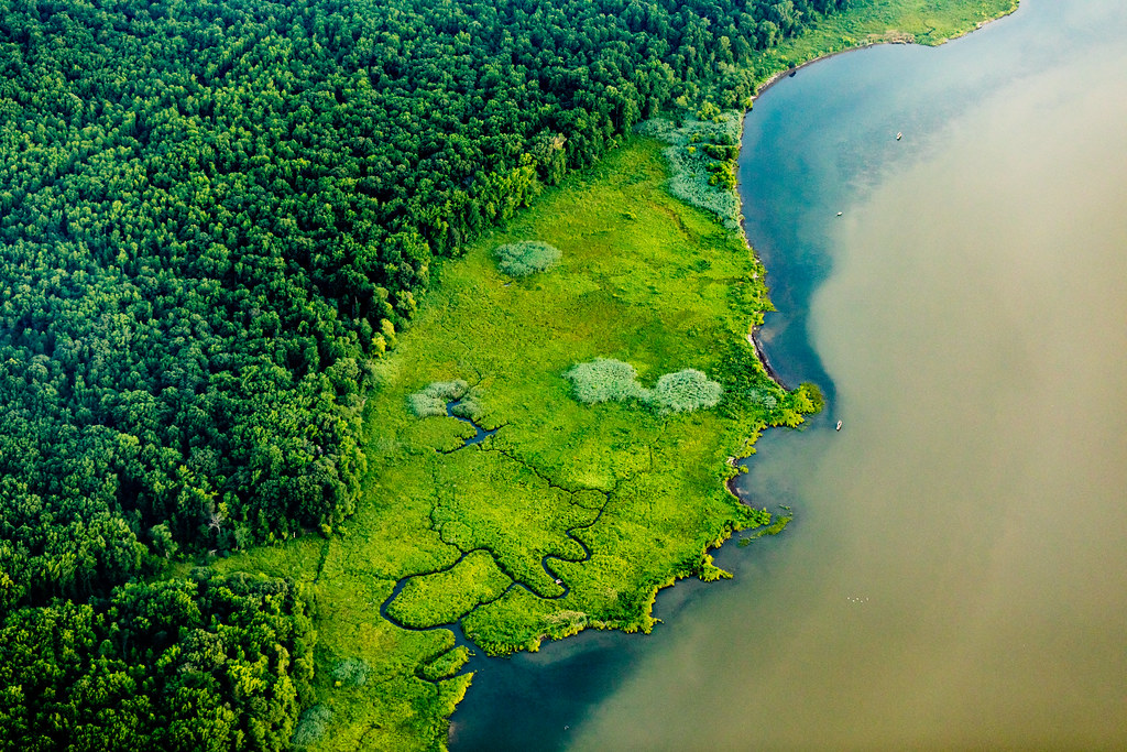 Wildlife And Habitat